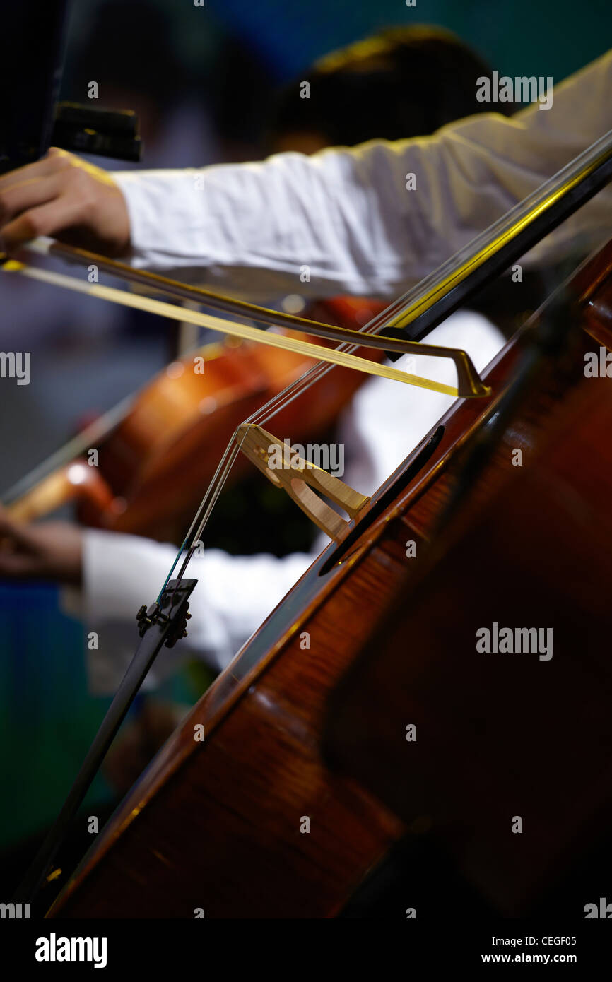 Close up detail of the bridge of a cello Stock Photo - Alamy