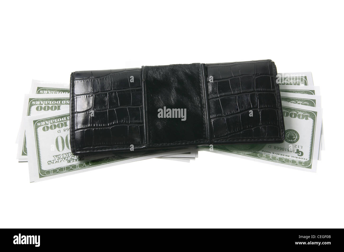 Lady's Wallet with Banknotes Stock Photo - Alamy