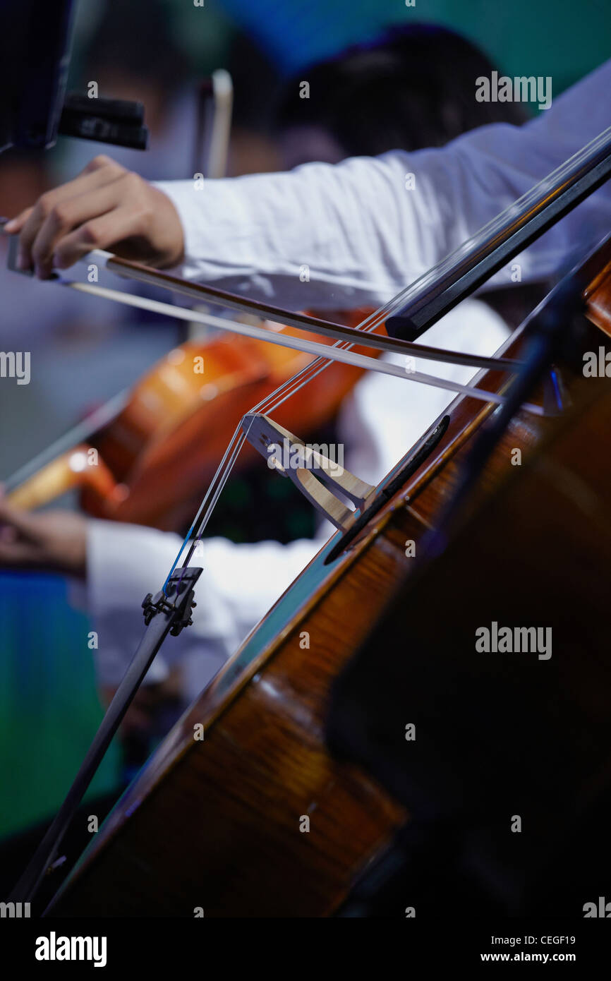 Cello bridge detail closeup hi-res stock photography and images - Alamy