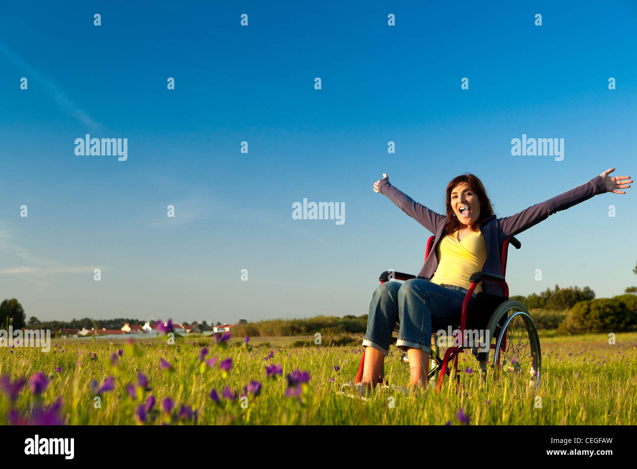 Happy handicapped woman on a wheelchair over a green meadow Stock Photo ...