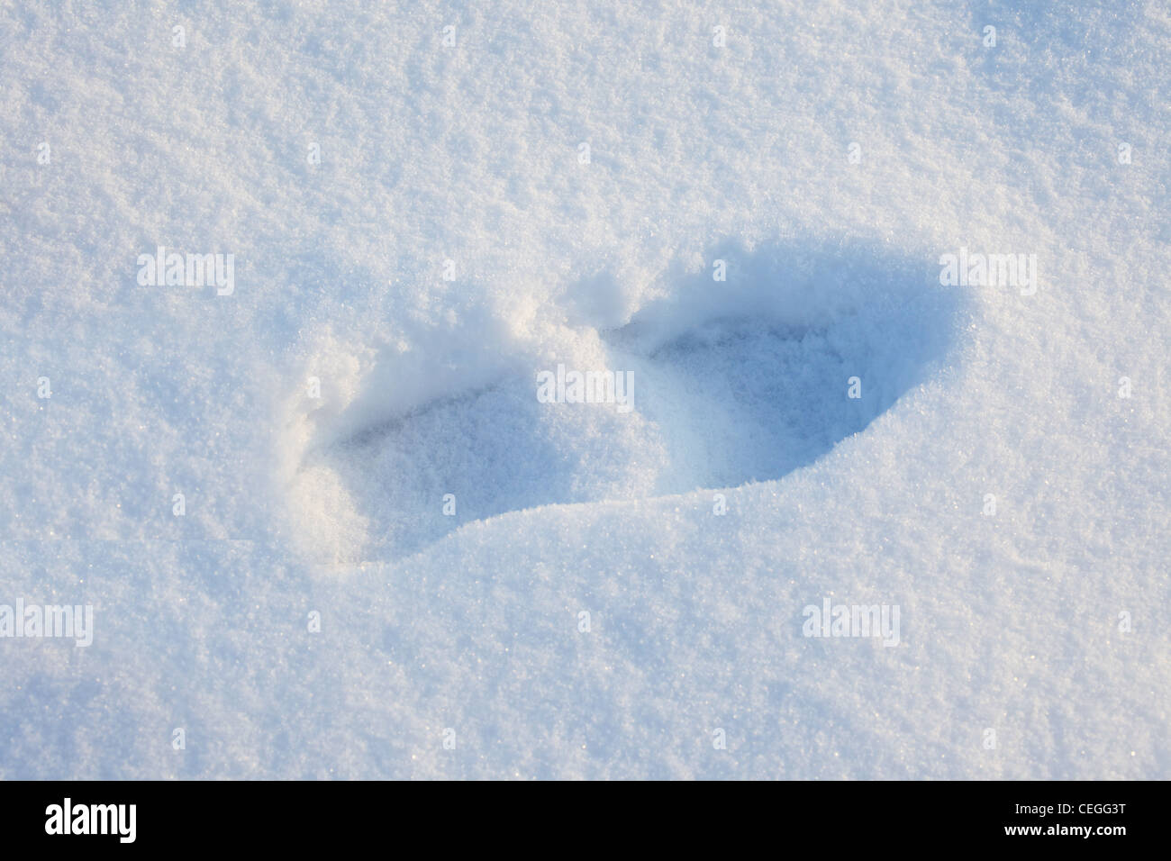 Single footprint in the now Stock Photo - Alamy