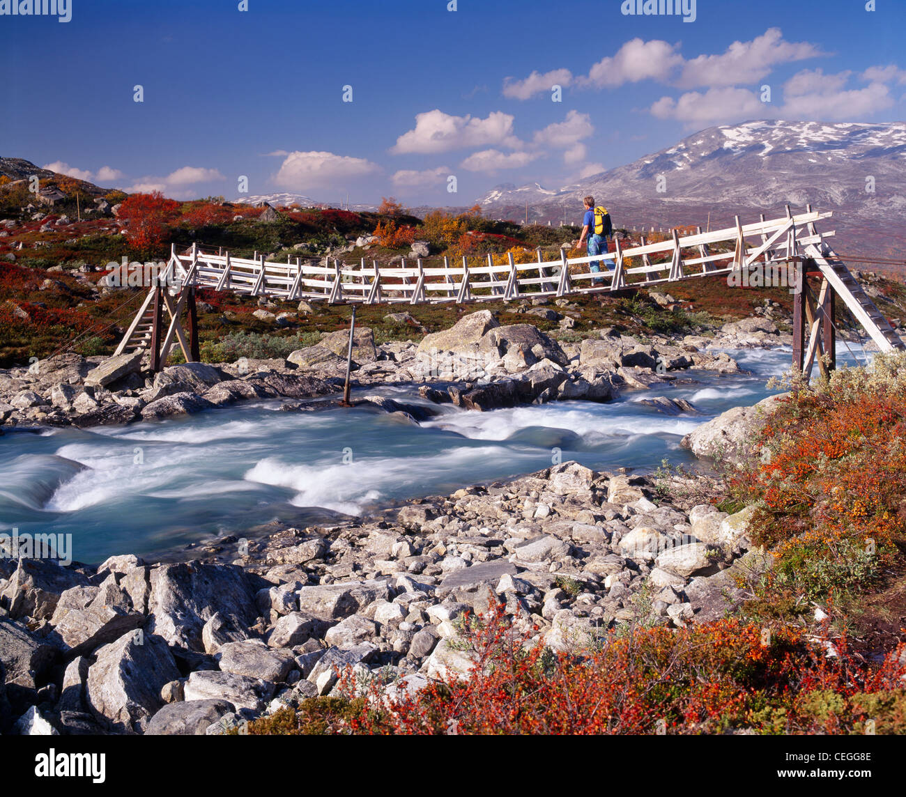 Female walker crossing a footbridge across a river in Maradalen, Skjak ...