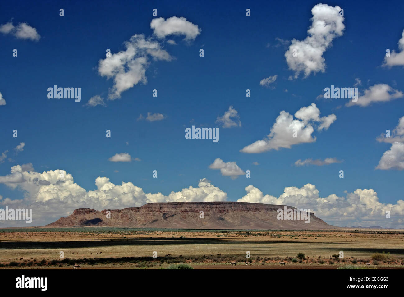 Gondwana hi-res stock photography and images - Alamy