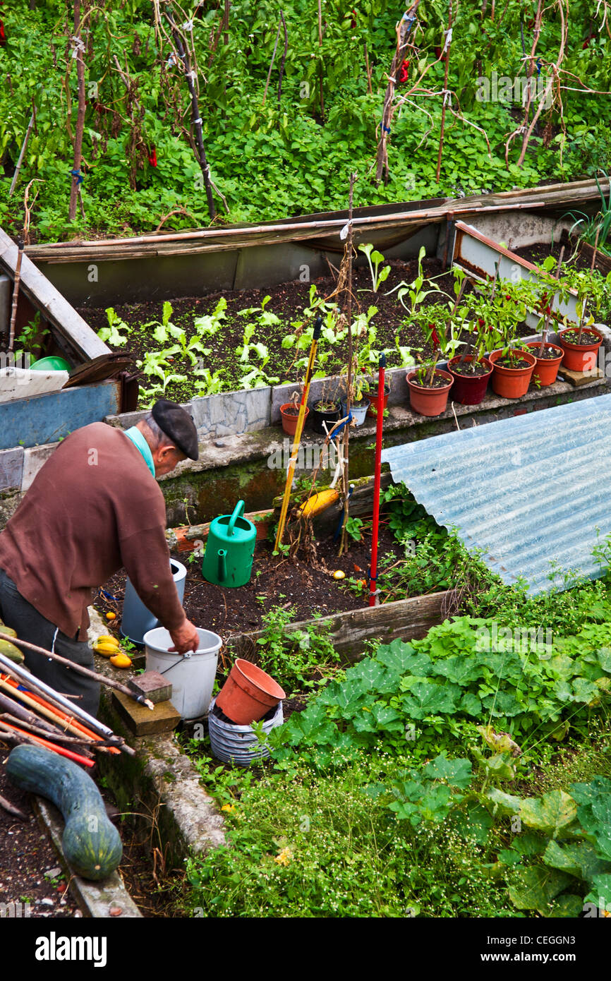 Fresh vegetables are an important part of Spanish and Basque cuisine ...