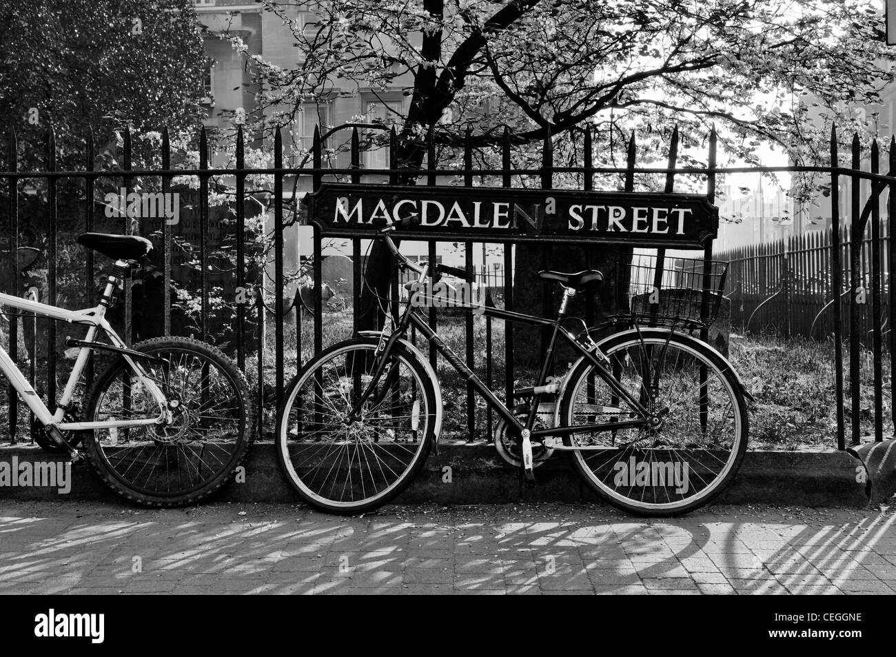 A black and white picture of bicycles against railings along Magdalen ...