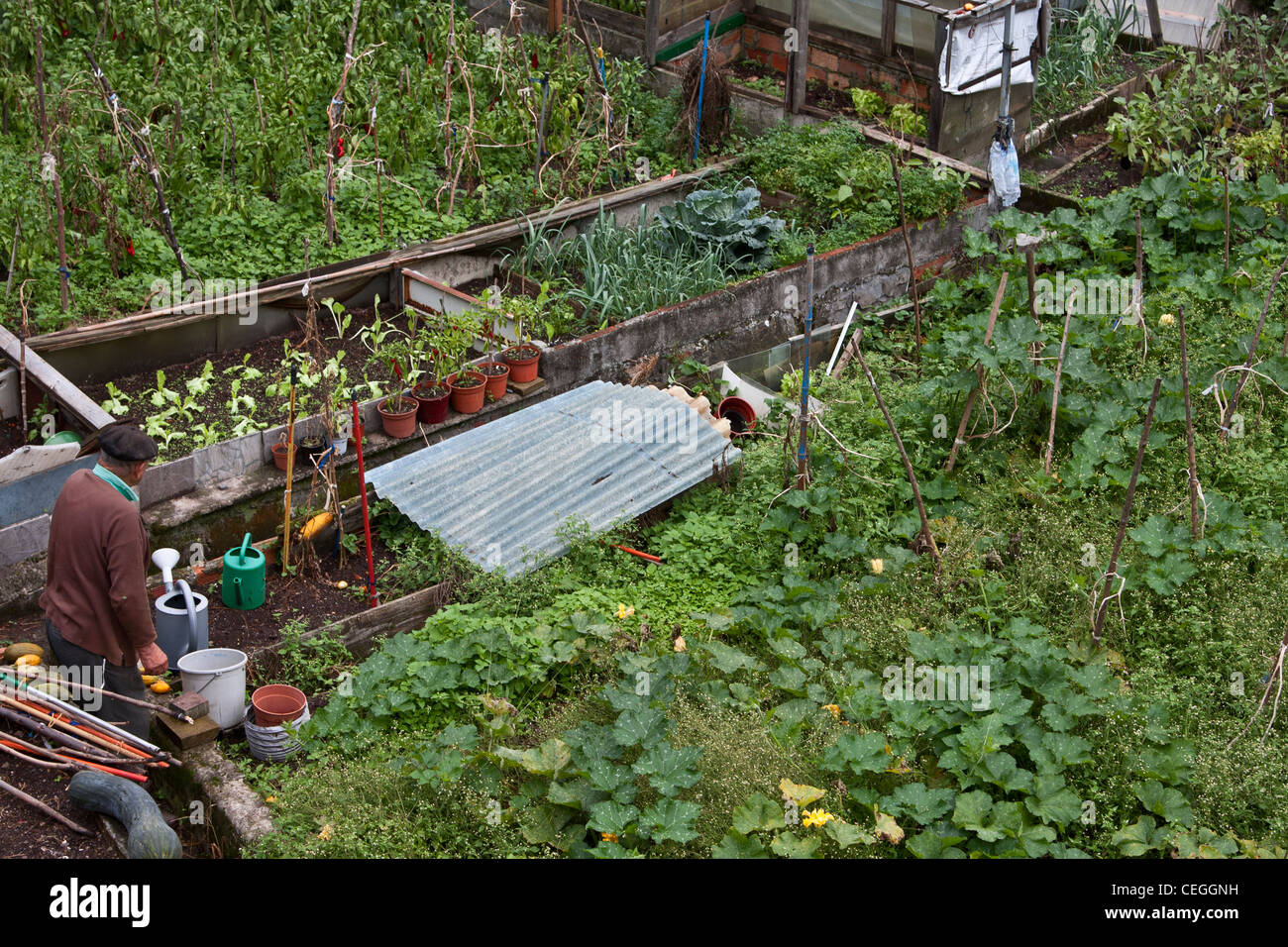 Fresh vegetables are an important part of Spanish and Basque cuisine ...