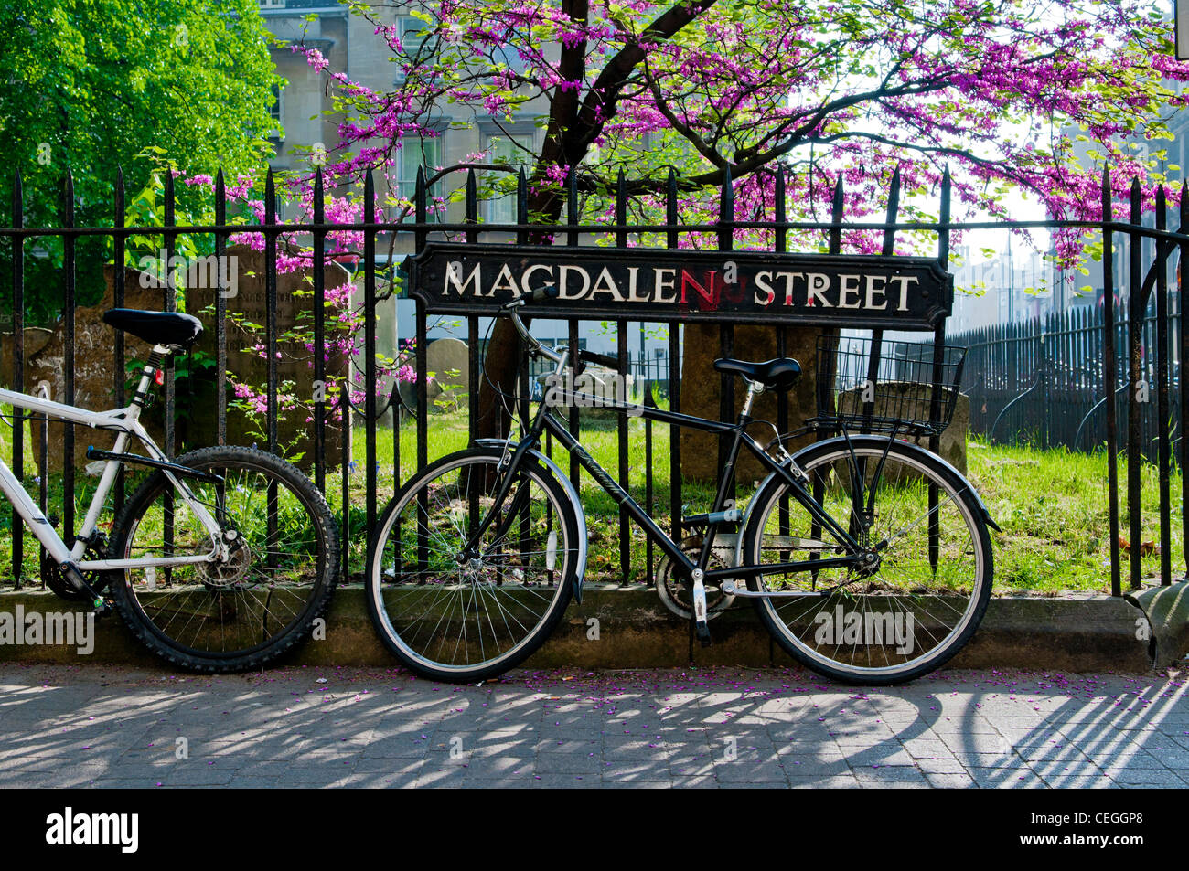 Magdalen street oxford hi-res stock photography and images - Alamy