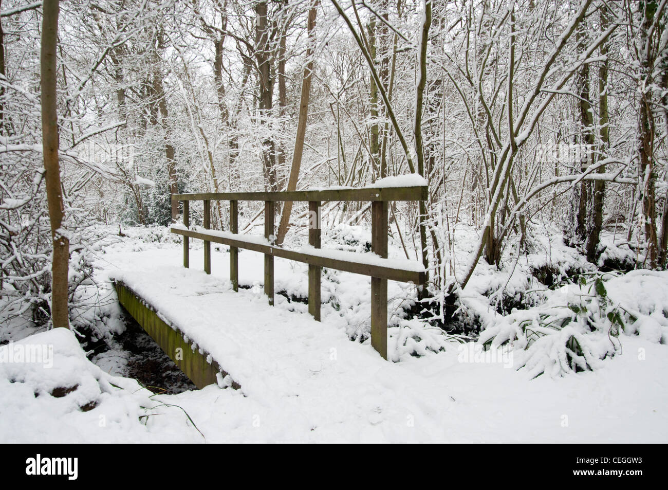 footbridge covered in Snow over frozen river in Blean woods kent ...