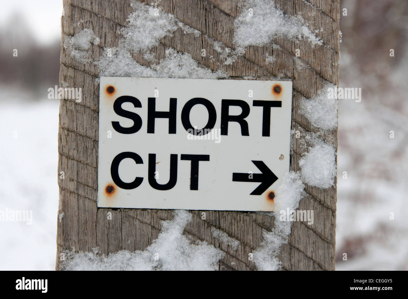 Snowy pathway signpost short cut dog in Blean woods kent england UK ...