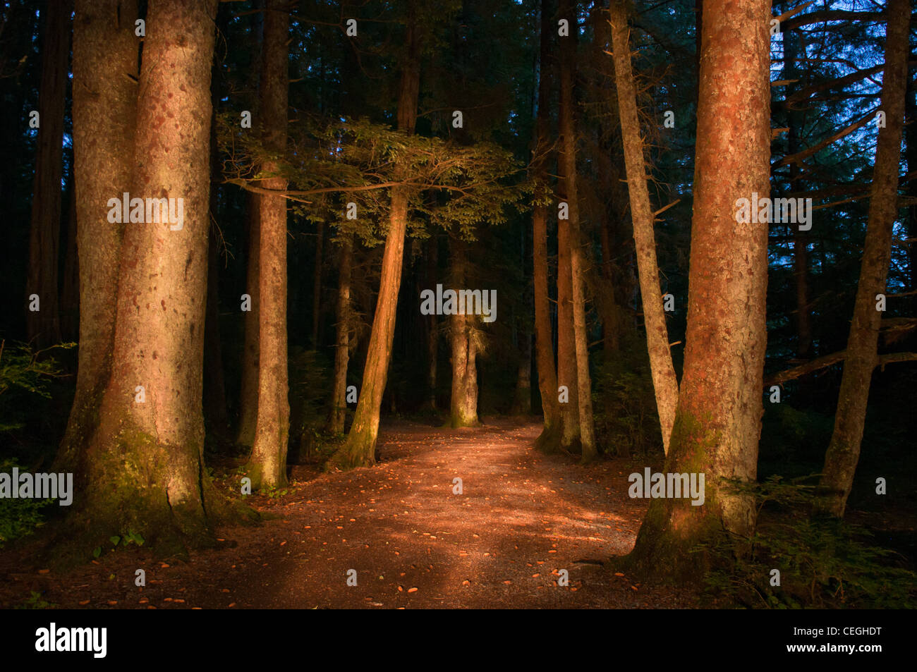 Sitka national historic park hi-res stock photography and images - Alamy