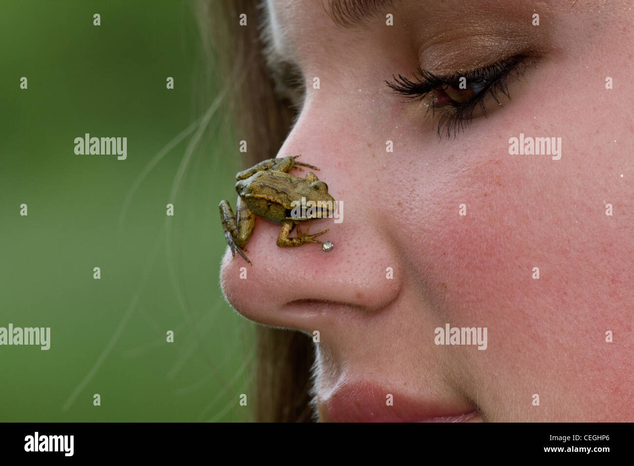 Young woman with a wood frog Stock Photo - Alamy