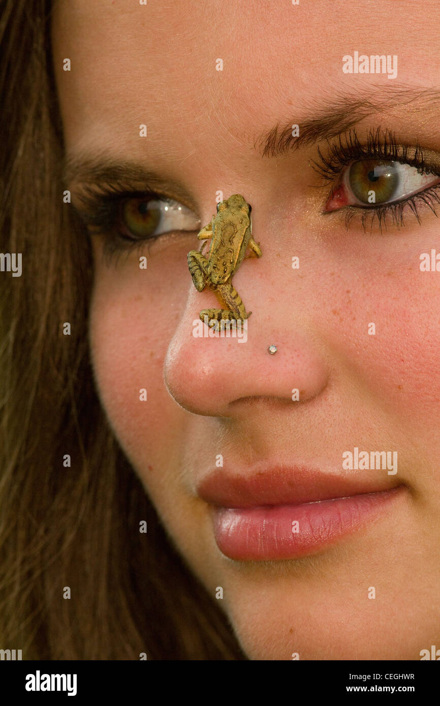 Young woman with a wood frog Stock Photo - Alamy