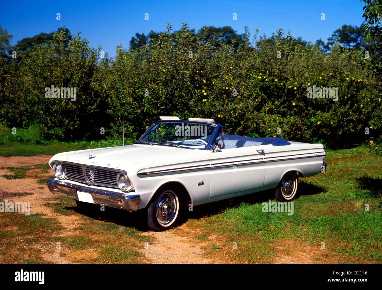 1965 Ford Falcon Convertible