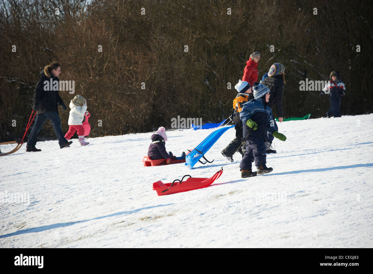 A children sledding downhill winter Stock Photo - Alamy