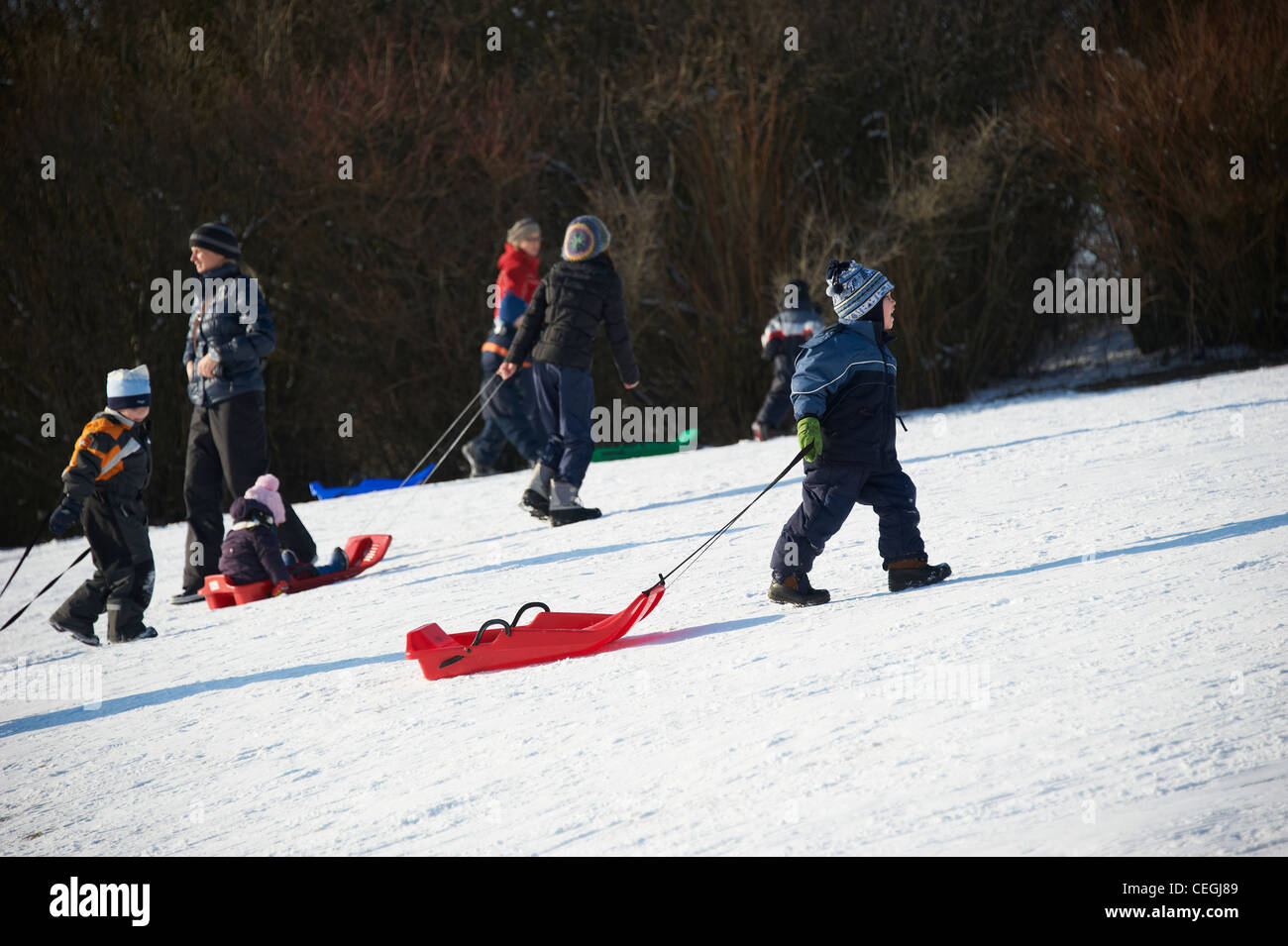 A children sledding downhill winter Stock Photo - Alamy