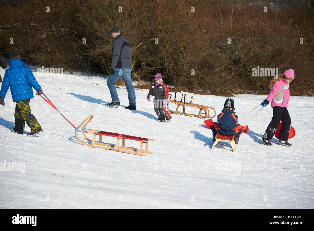 A children sledding downhill winter Stock Photo - Alamy