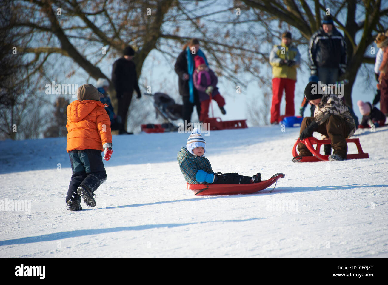 A children sledding downhill winter Stock Photo - Alamy