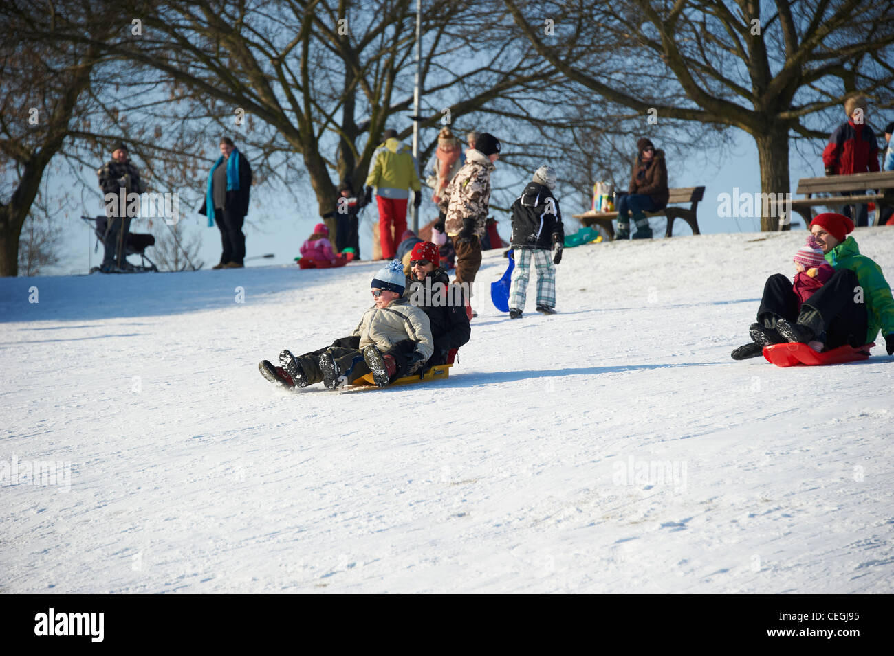 A children sledding downhill winter Stock Photo - Alamy