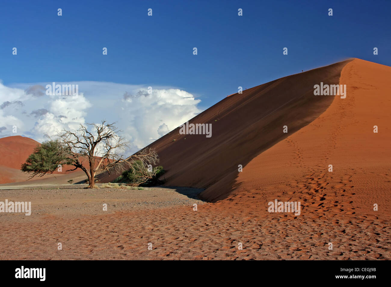 Landscape of Namib Desert Stock Photo - Alamy