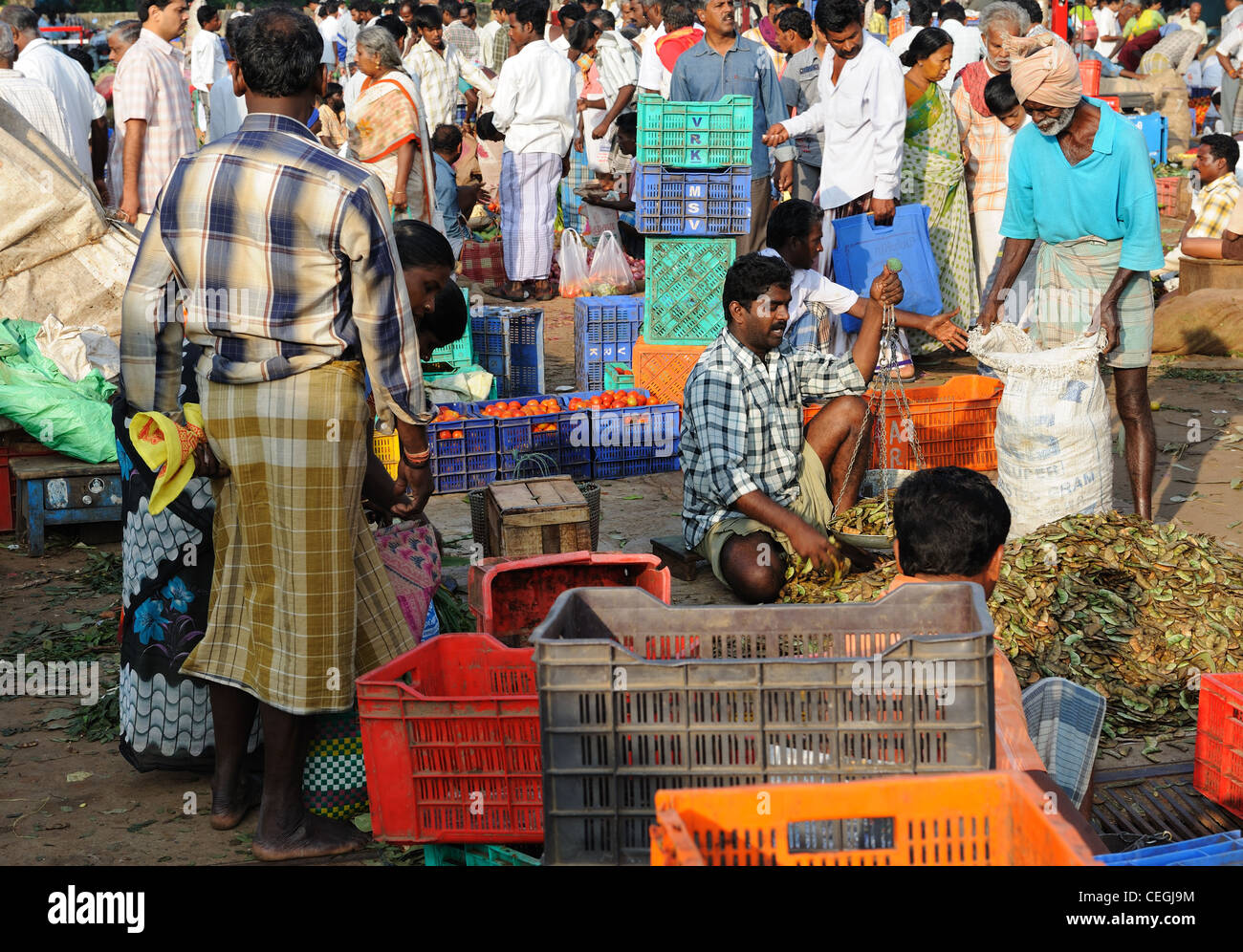 Vegetable market, India Stock Photo - Alamy