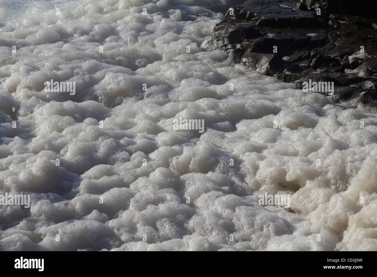 Foam hi res hi-res stock photography and images - Alamy