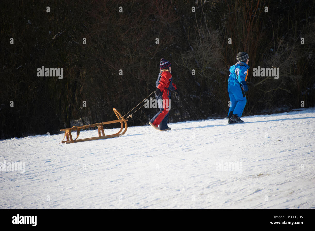 A children sledding downhill winter Stock Photo - Alamy