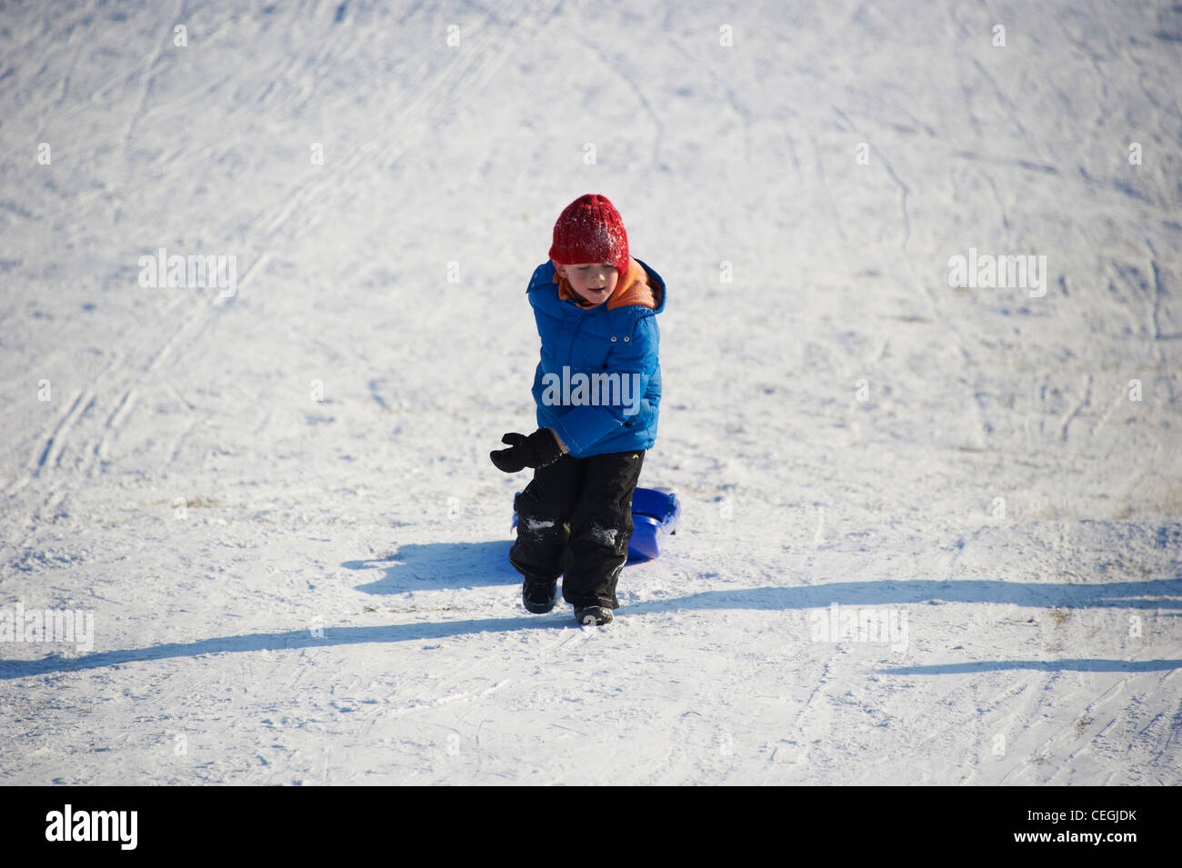 A child little boy sledding downhill winter Stock Photo - Alamy
