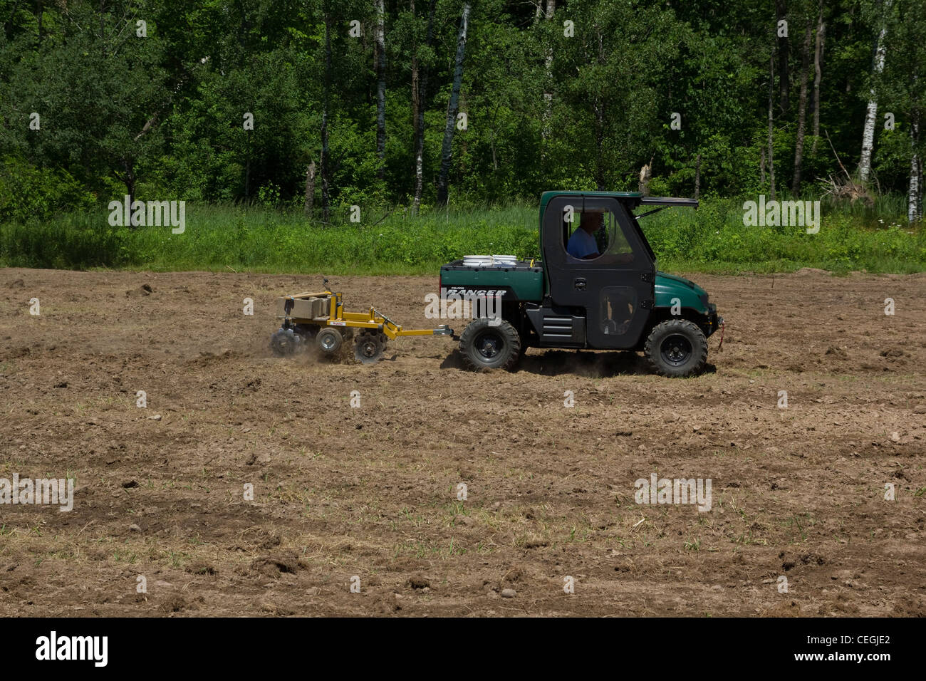 Field food plot american usa nature hi-res stock photography and images ...