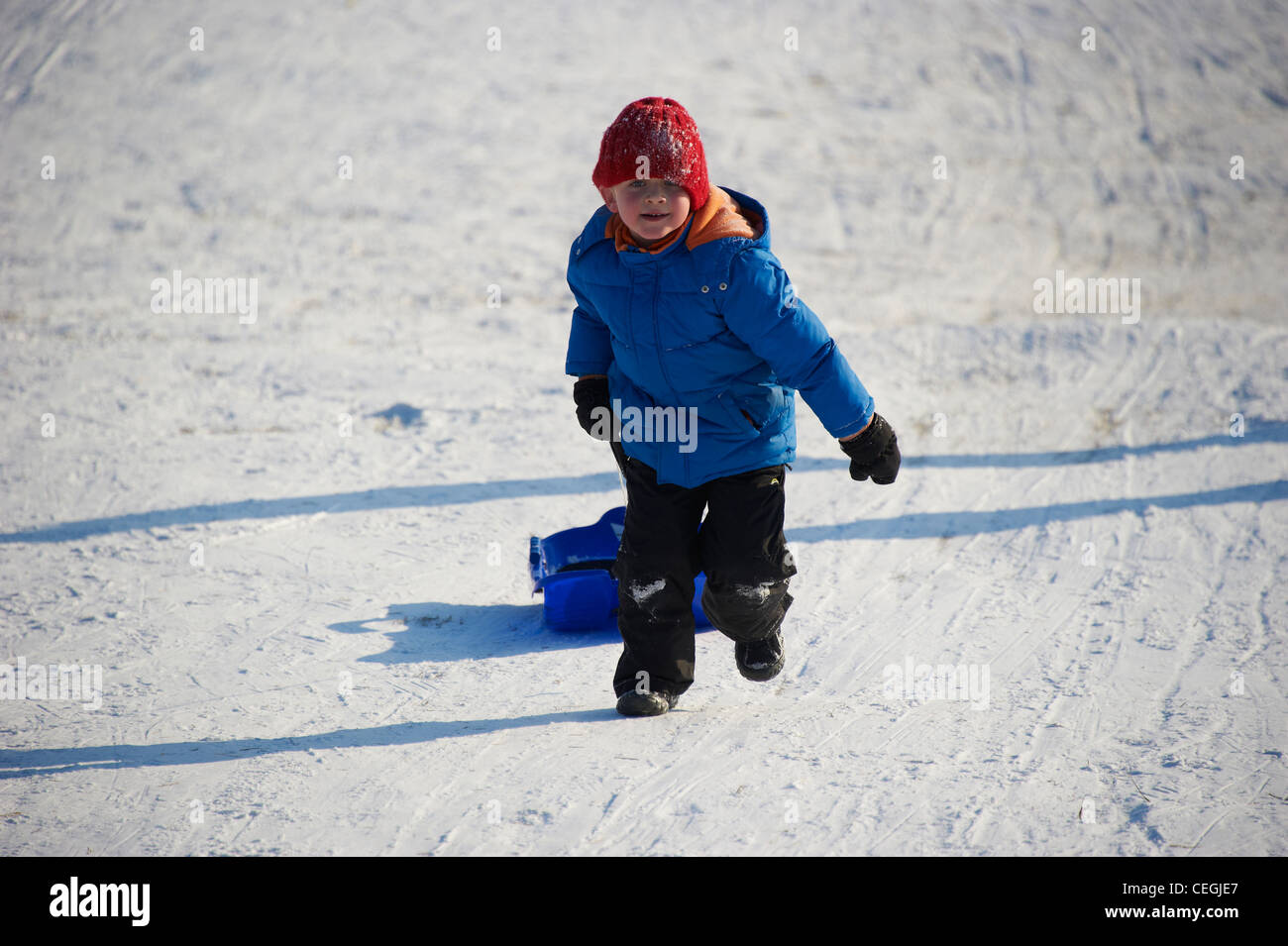 A child little boy sledding downhill winter Stock Photo - Alamy
