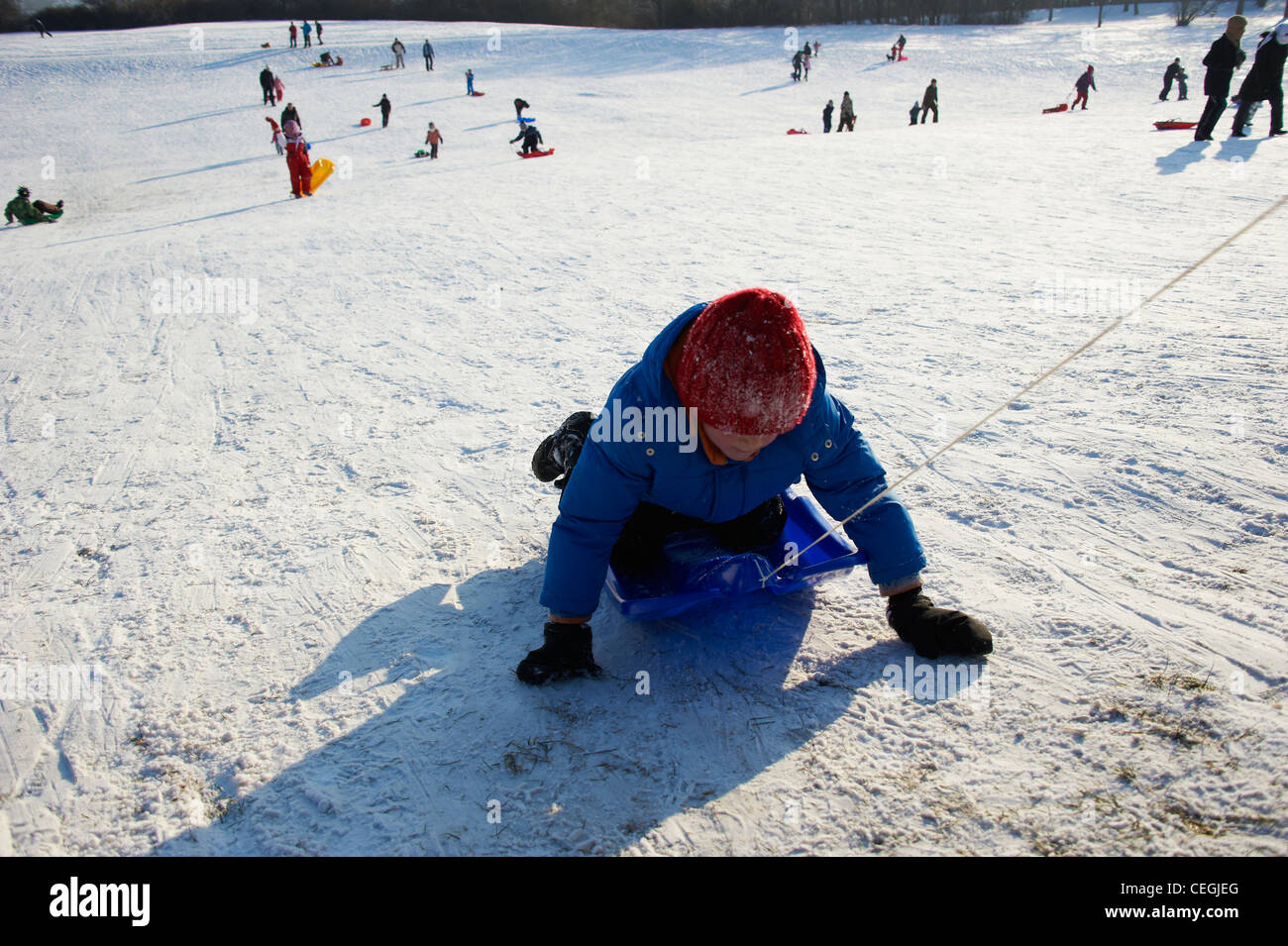A child little boy sledding downhill winter Stock Photo - Alamy