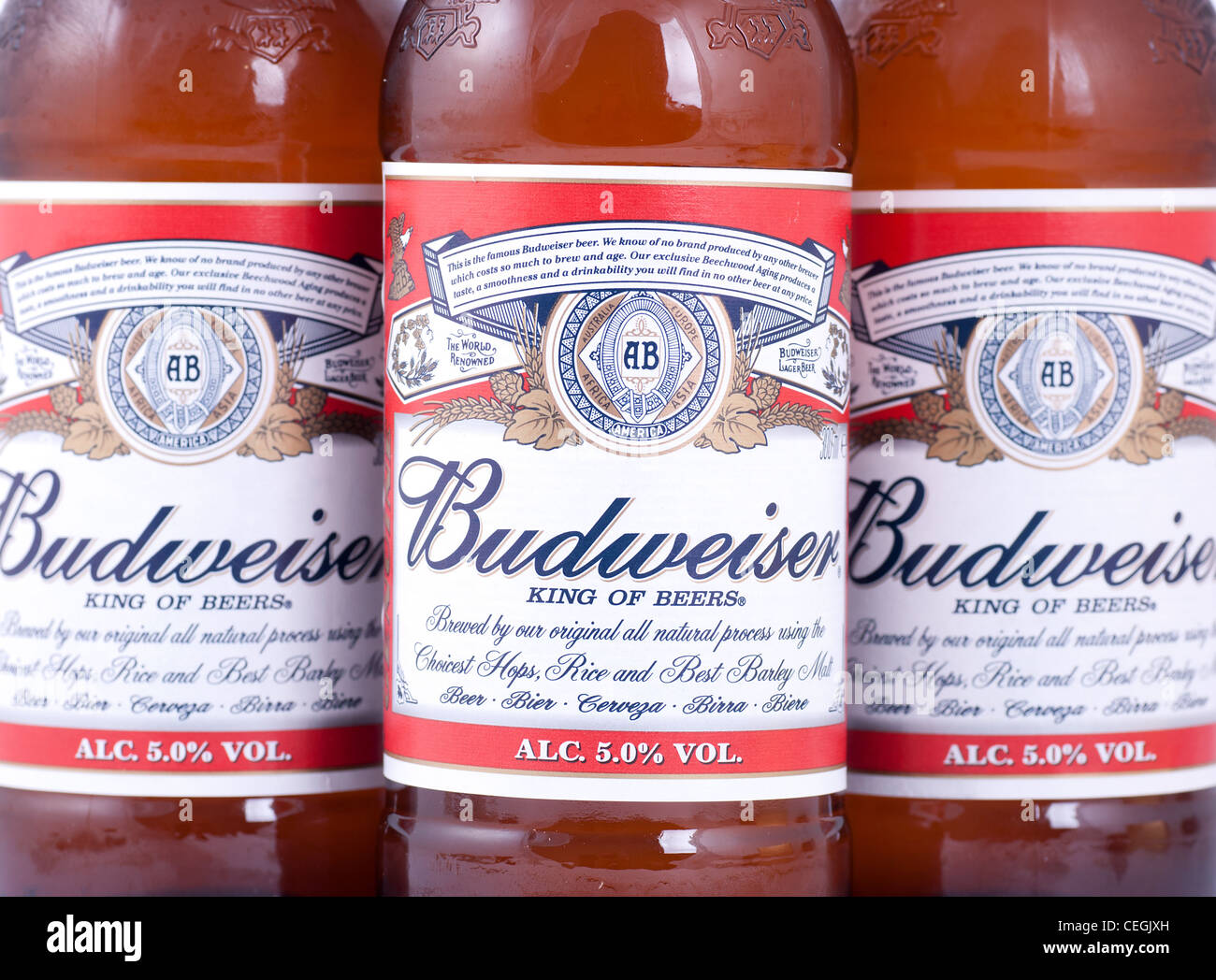 Budweiser brand name hi-res stock photography and images - Alamy