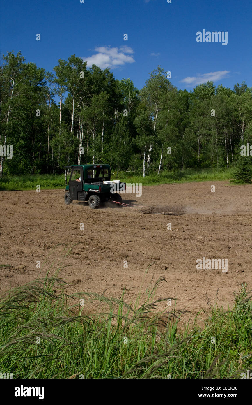 Field food plot american usa nature hi-res stock photography and images ...