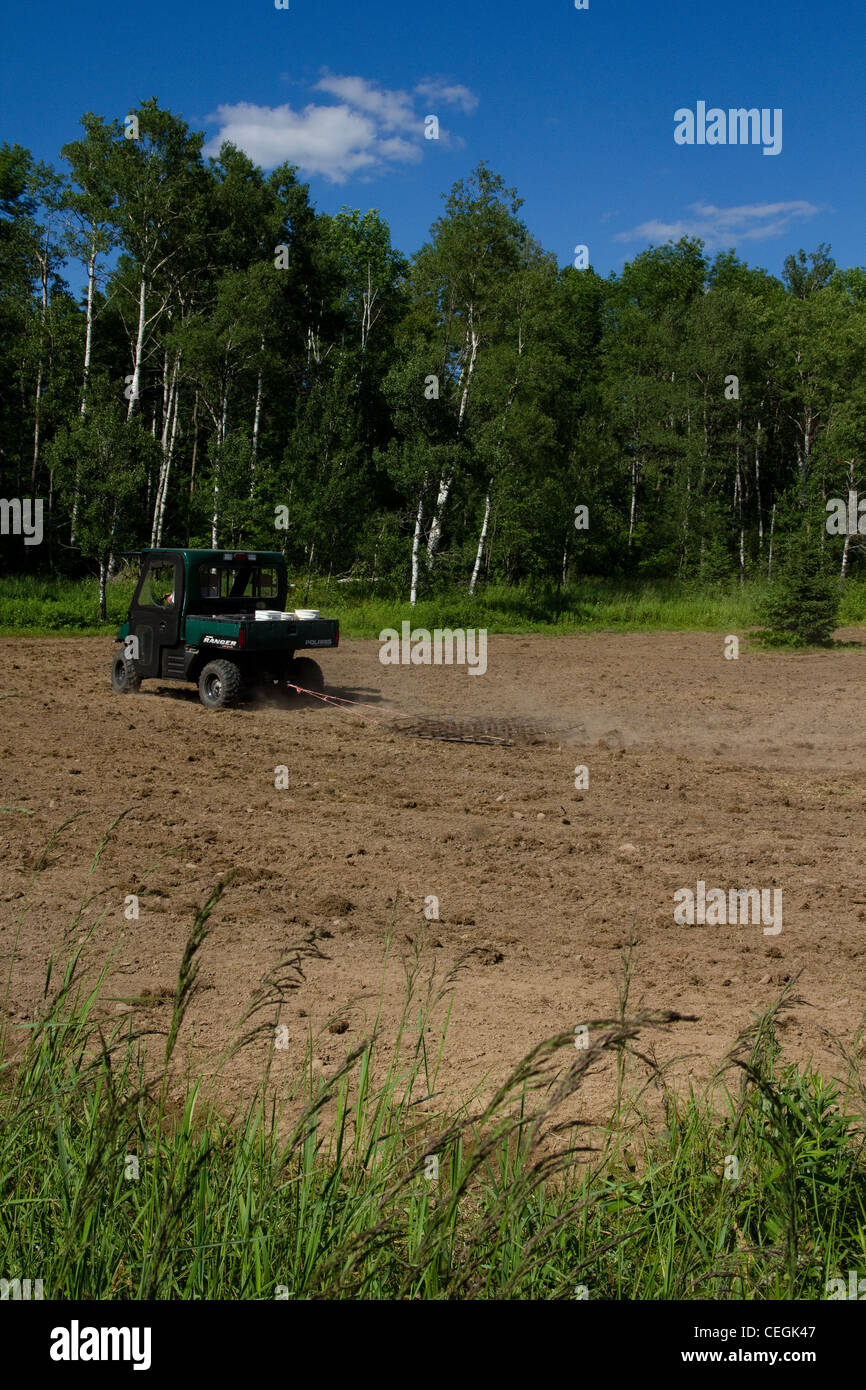 Field food plot american usa nature hi-res stock photography and images ...