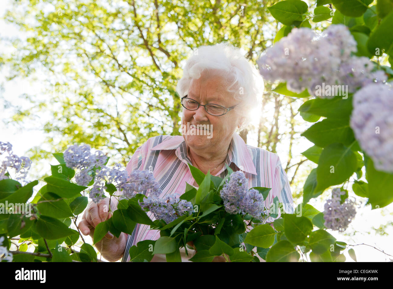 Old woman in garden Stock Photo - Alamy