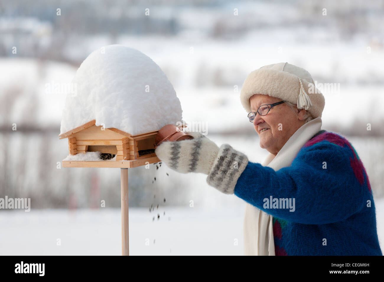 Old woman feeding birds Stock Photo - Alamy Old woman feeding birds Stock Photo - Alamy