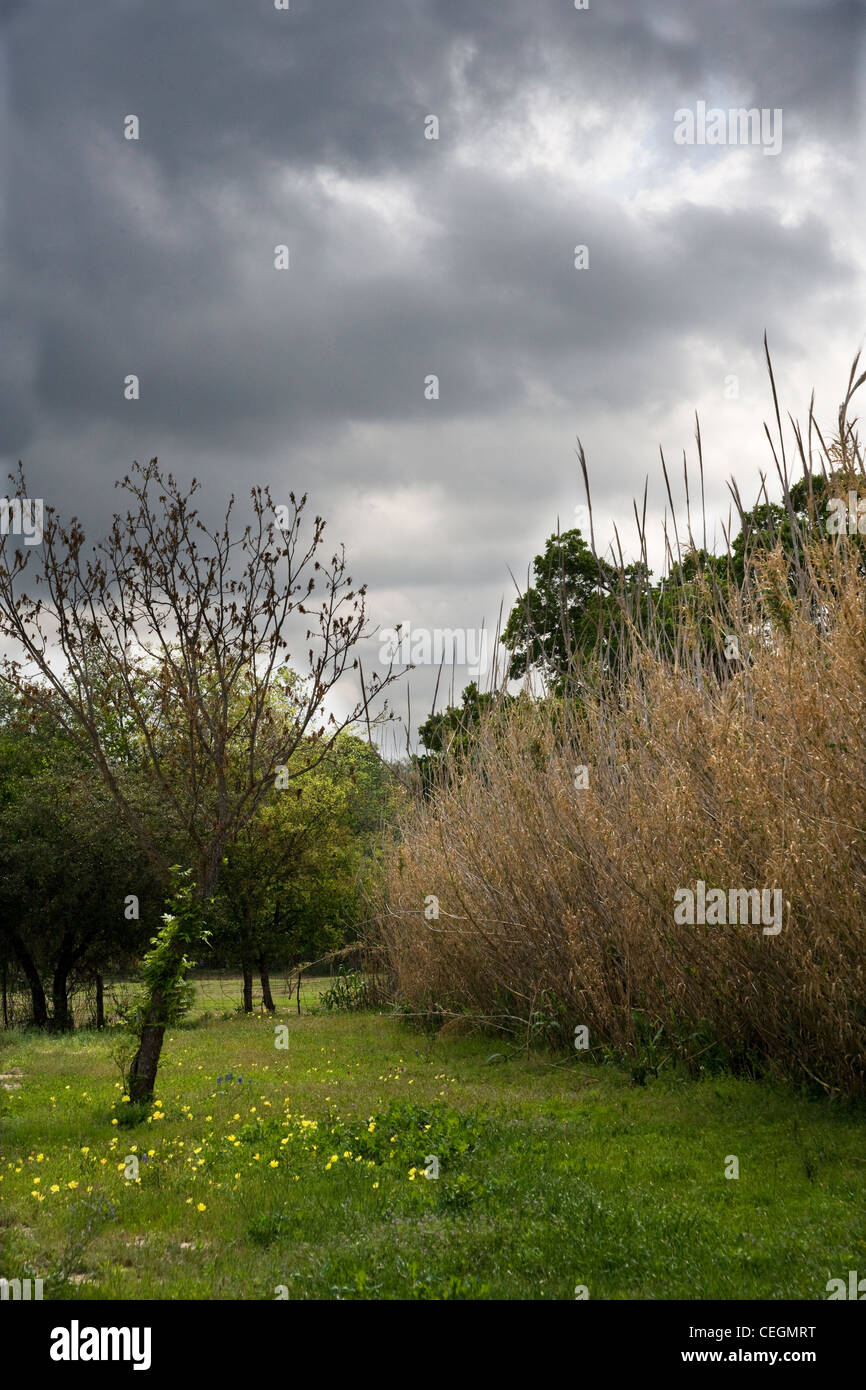 Windy scene before storm hi-res stock photography and images - Alamy