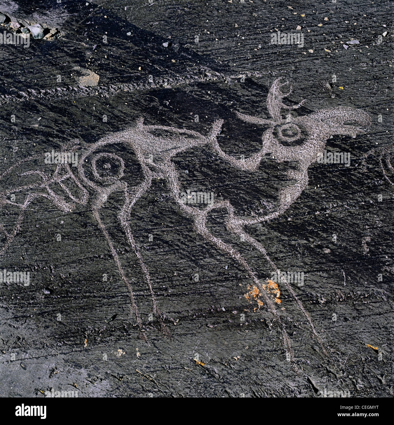 Petroglyphs of the mongolian altai hi-res stock photography and images ...