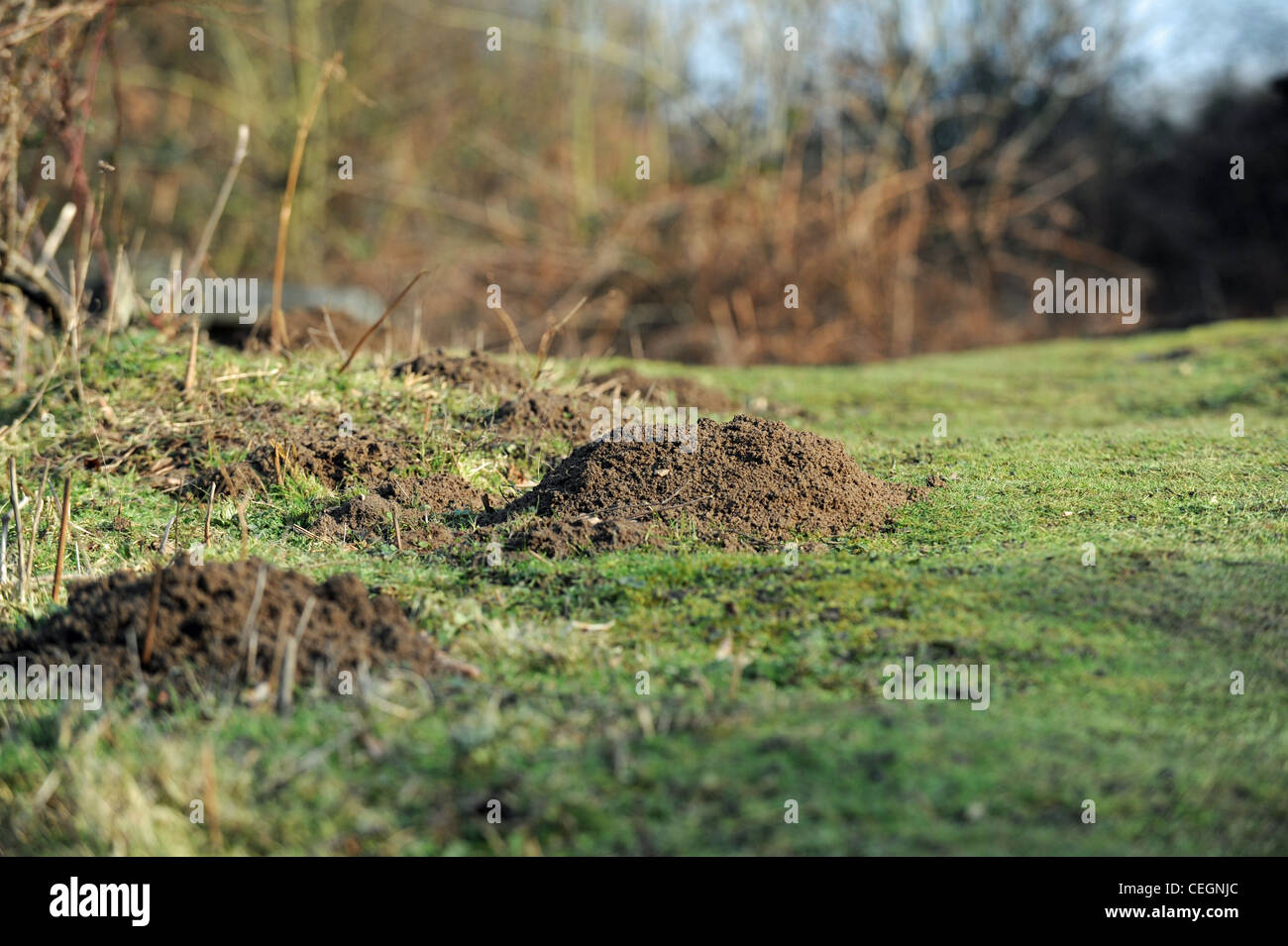 Earth mound garden hi-res stock photography and images - Alamy