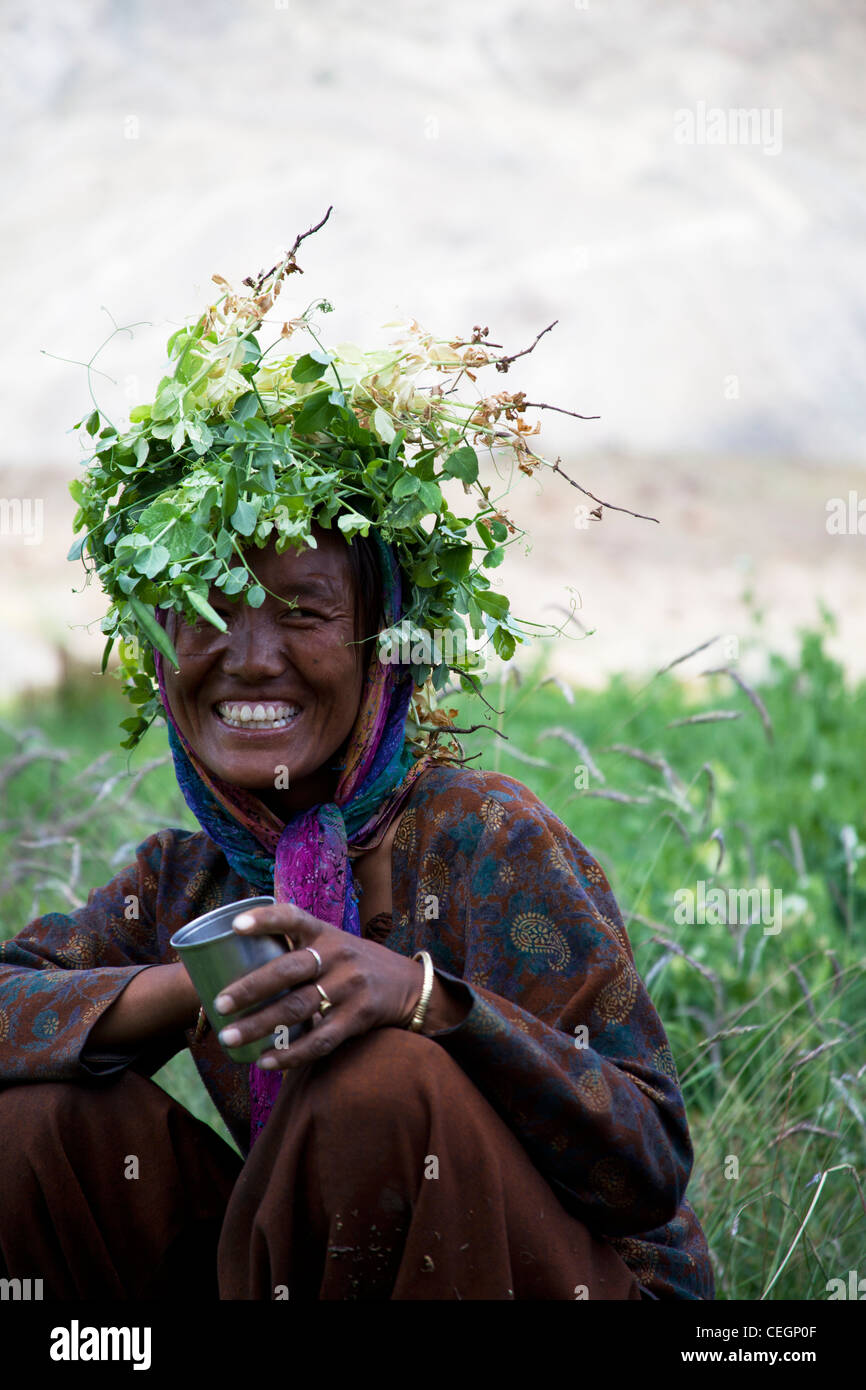 Pea picker with pea stalk hat to protect her from the hot sun Stock ...