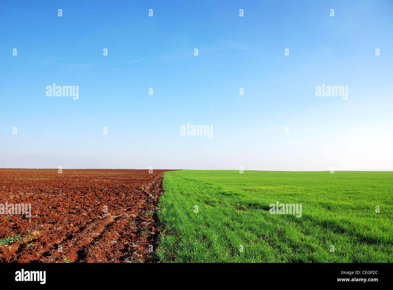 plowed and green field background Stock Photo - Alamy