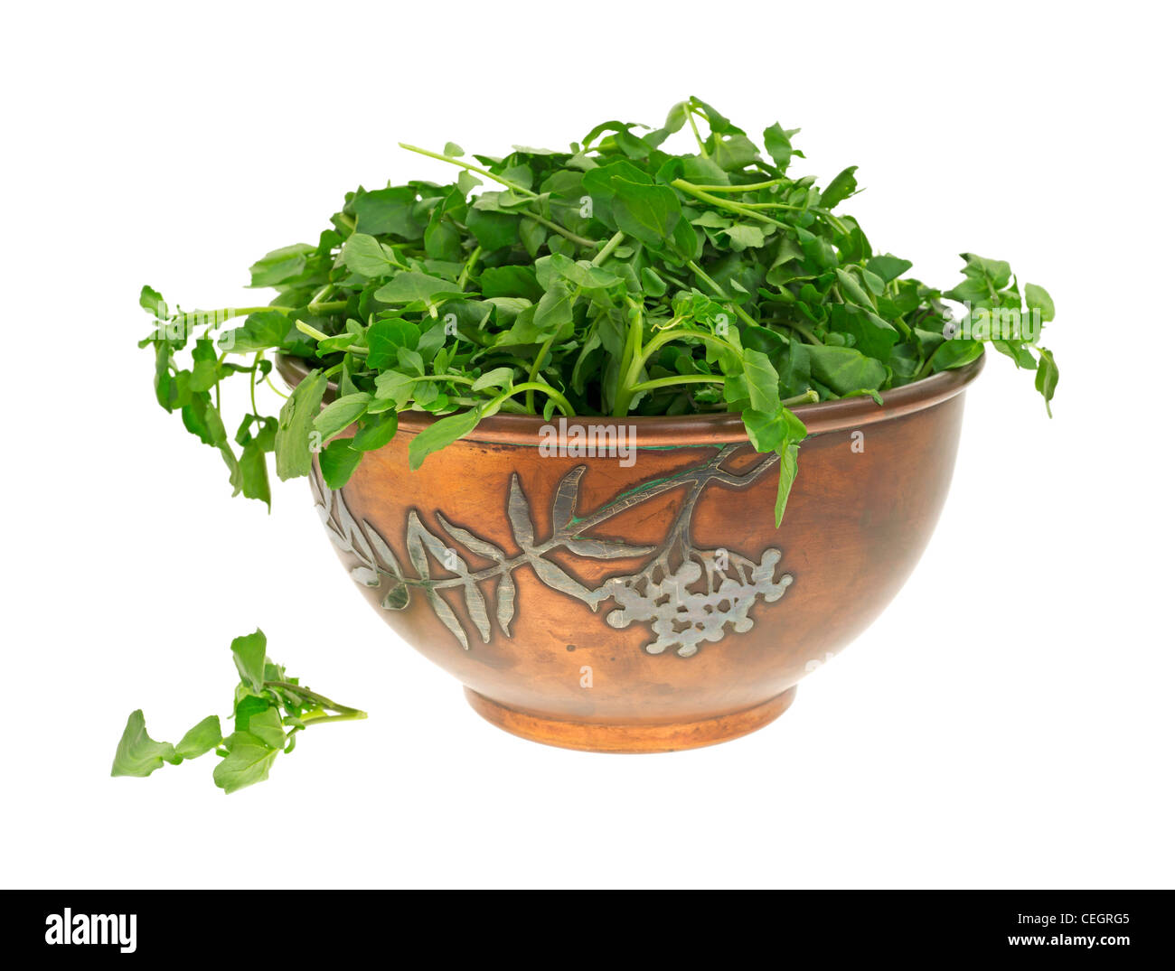 Watercress sprig hi-res stock photography and images - Alamy