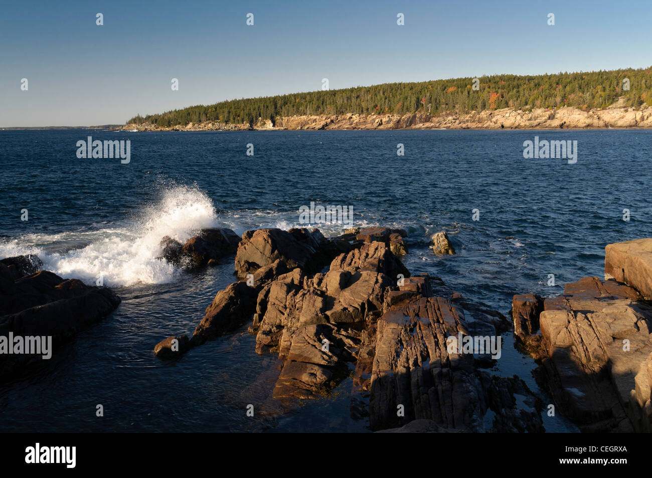 Peaks of otter hi-res stock photography and images - Alamy