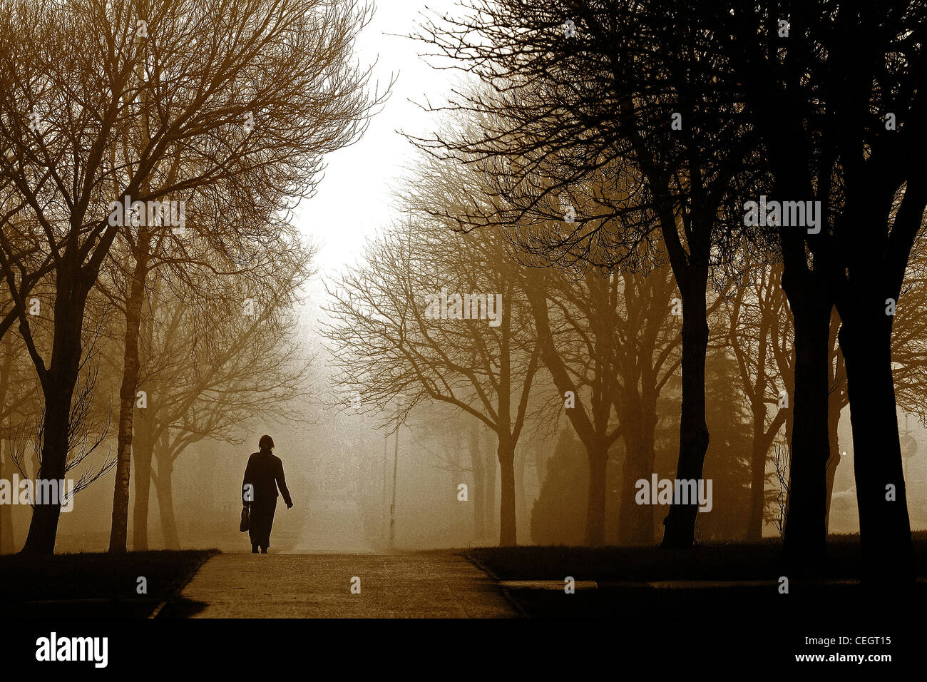 Figures in mist hi-res stock photography and images - Alamy