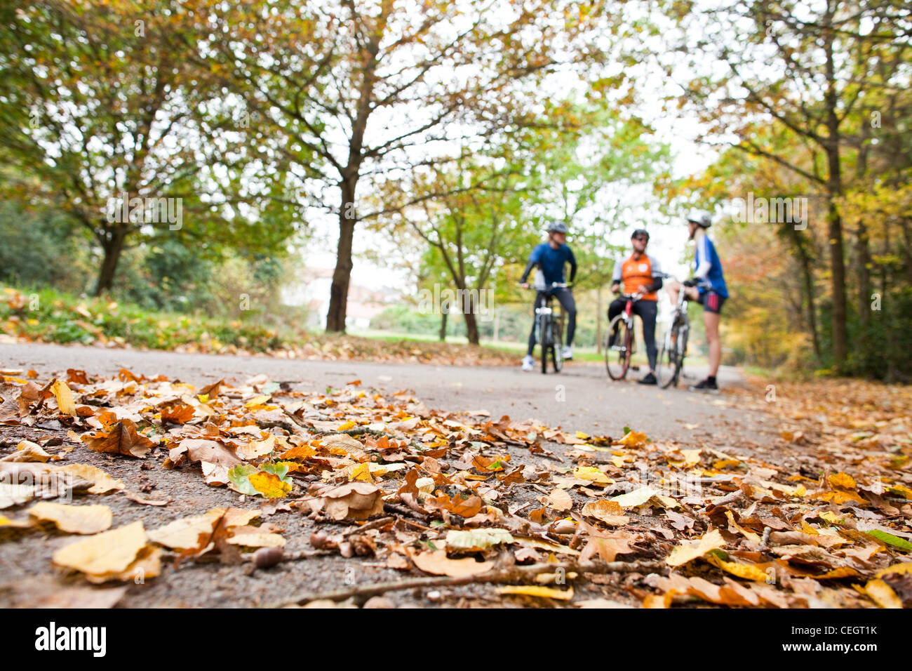 Group of older cyclists hi-res stock photography and images - Alamy