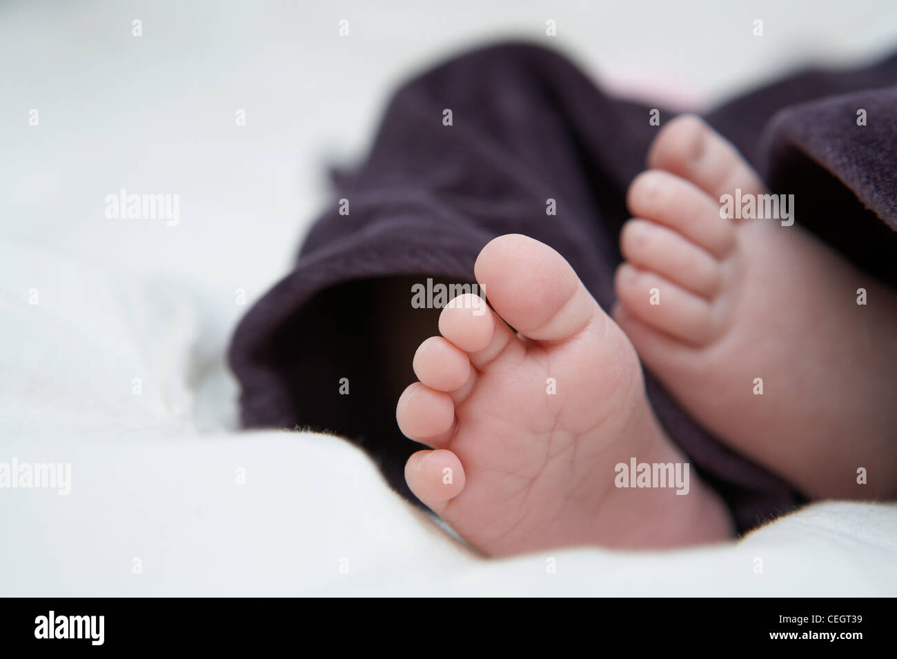 Close up of baby's feet Stock Photo - Alamy