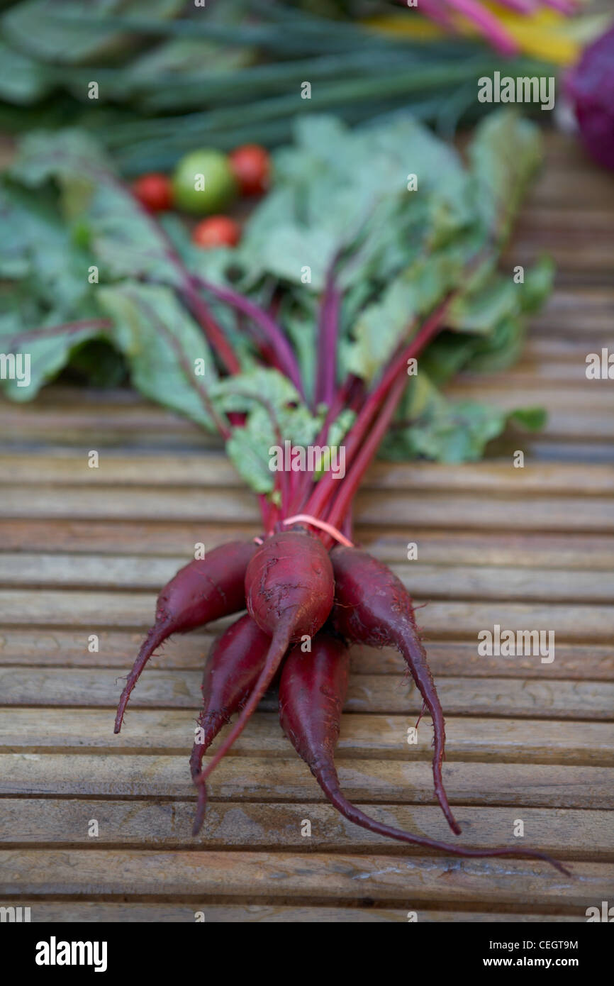 Fresh crop of beetroot Stock Photo - Alamy