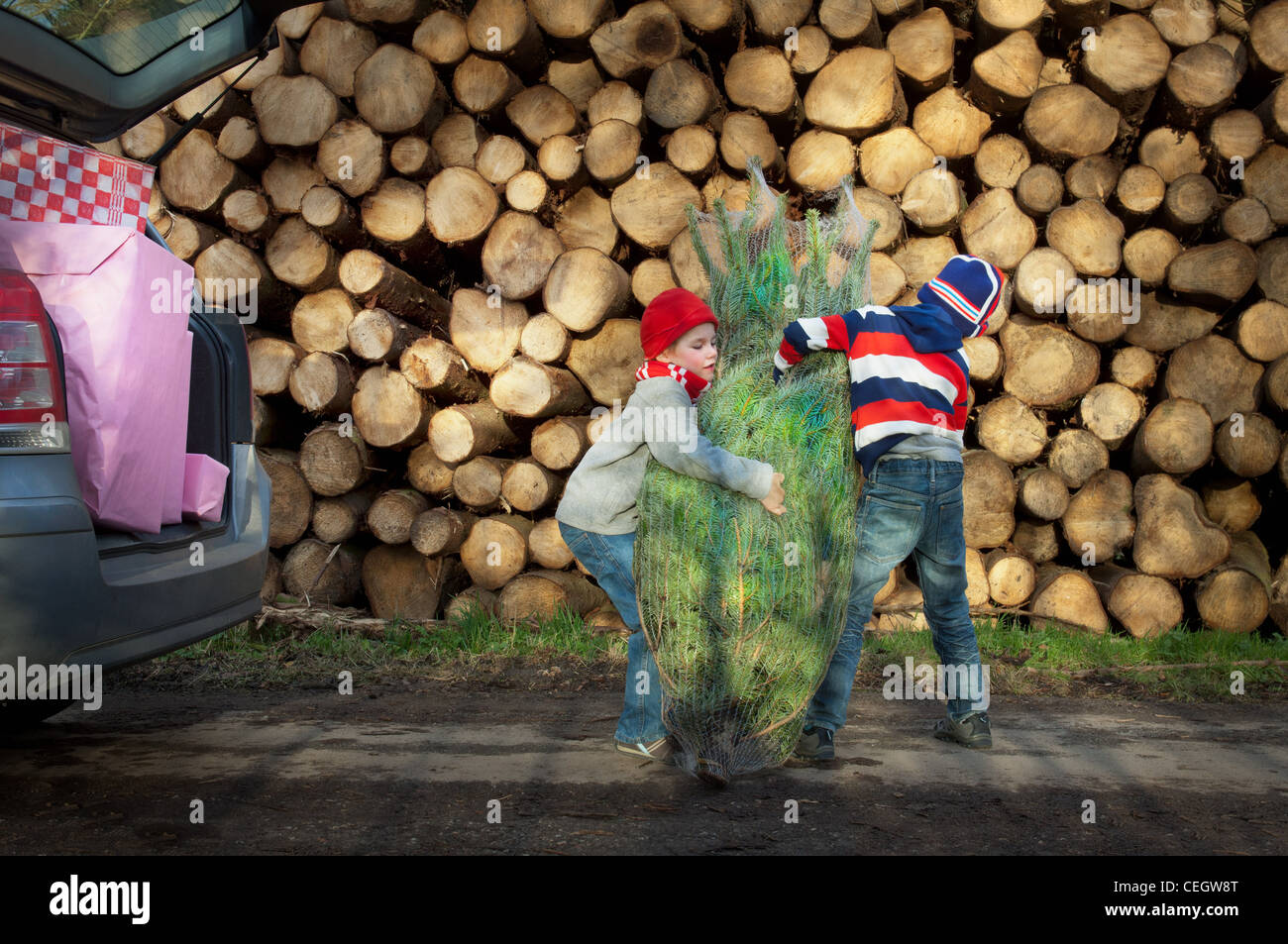 Lifting tree car hi-res stock photography and images - Alamy