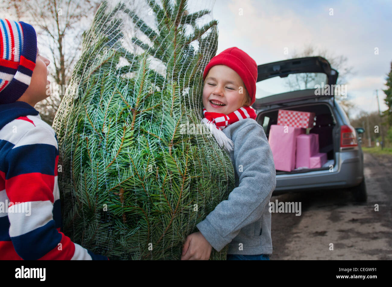 Two boys lifting Christmas tree to car Stock Photo - Alamy