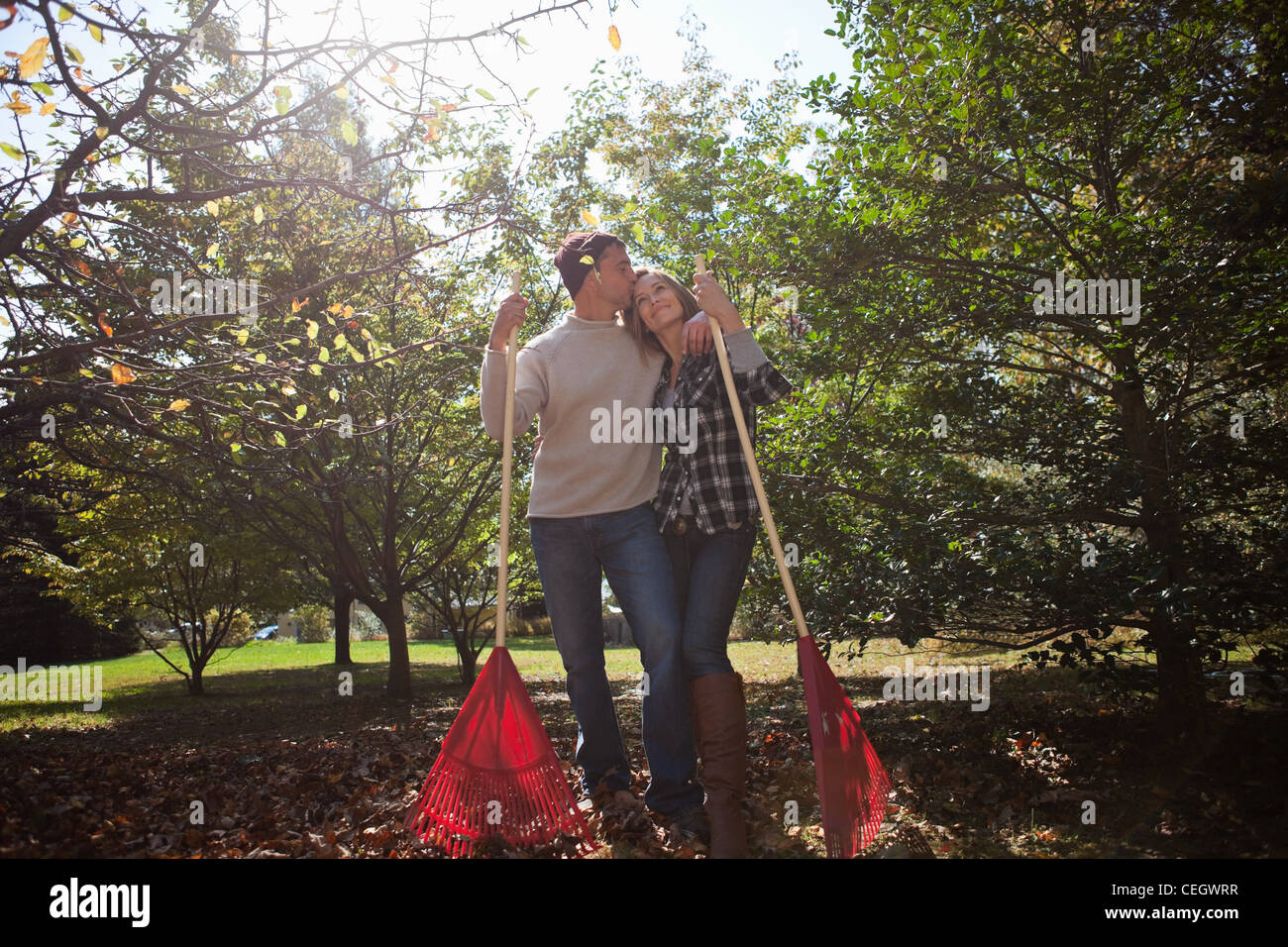 Leaf 49 hi-res stock photography and images - Alamy