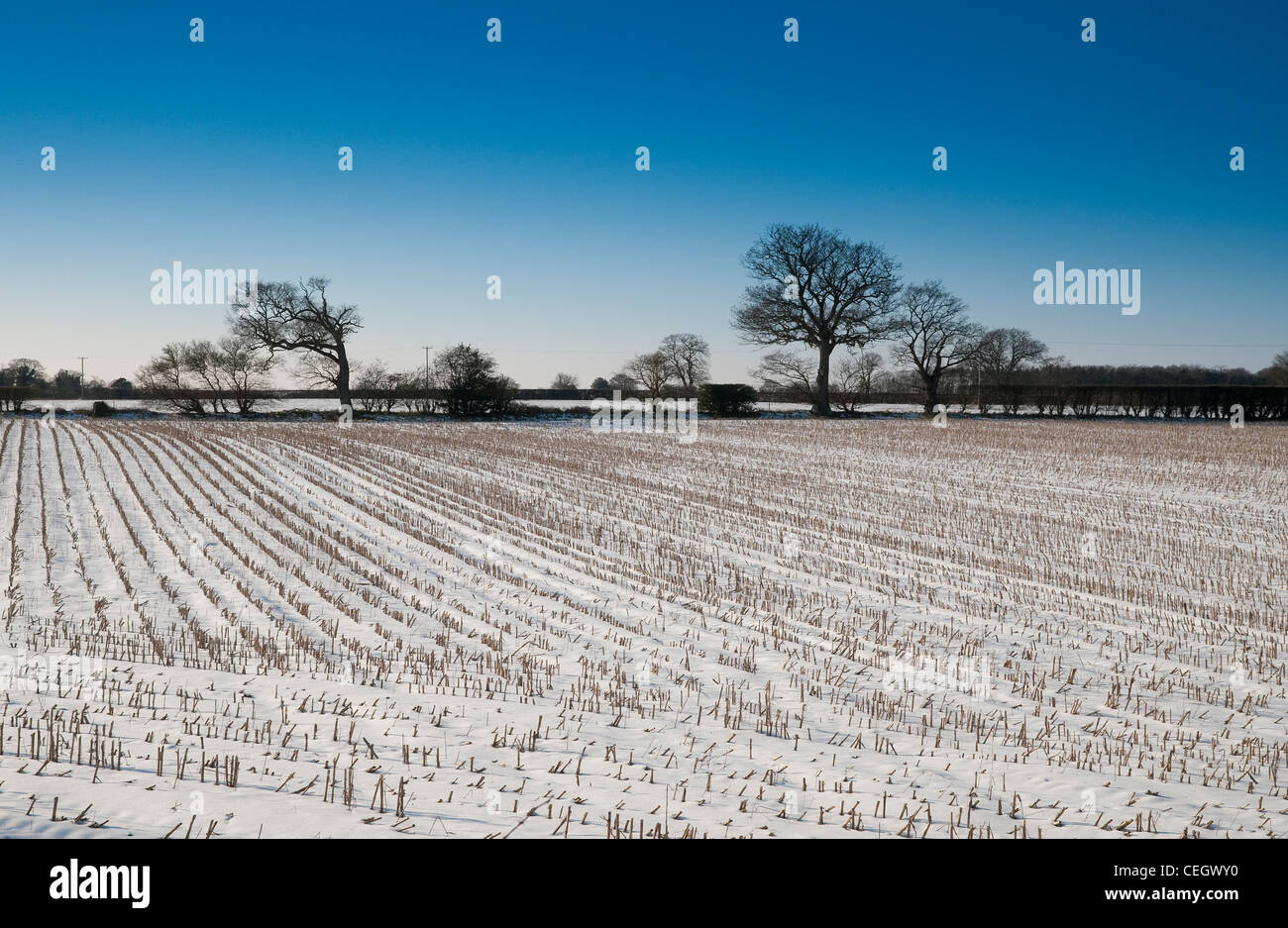 Norfolk scene view landscape hi-res stock photography and images - Alamy